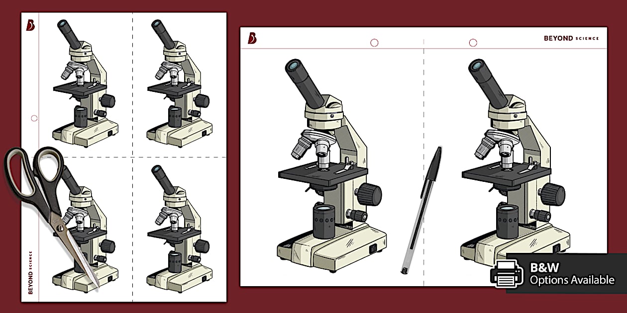 Microscope Illustration (teacher made) - Twinkl