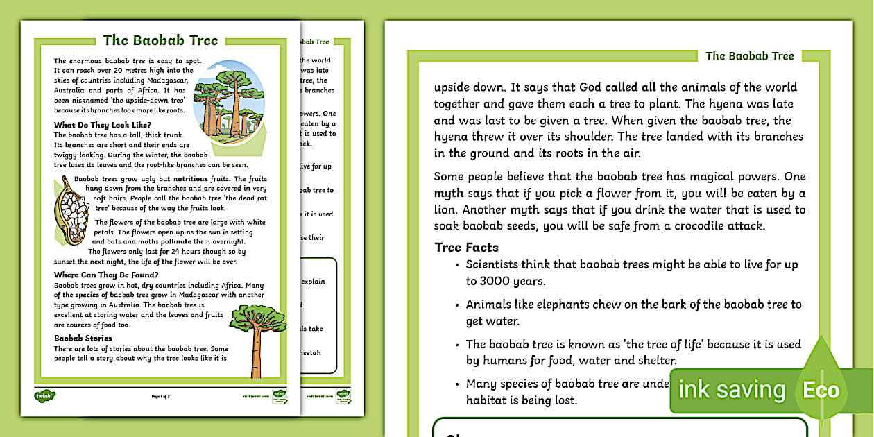 KS1 Baobab Tree Fact File (teacher made) - Twinkl