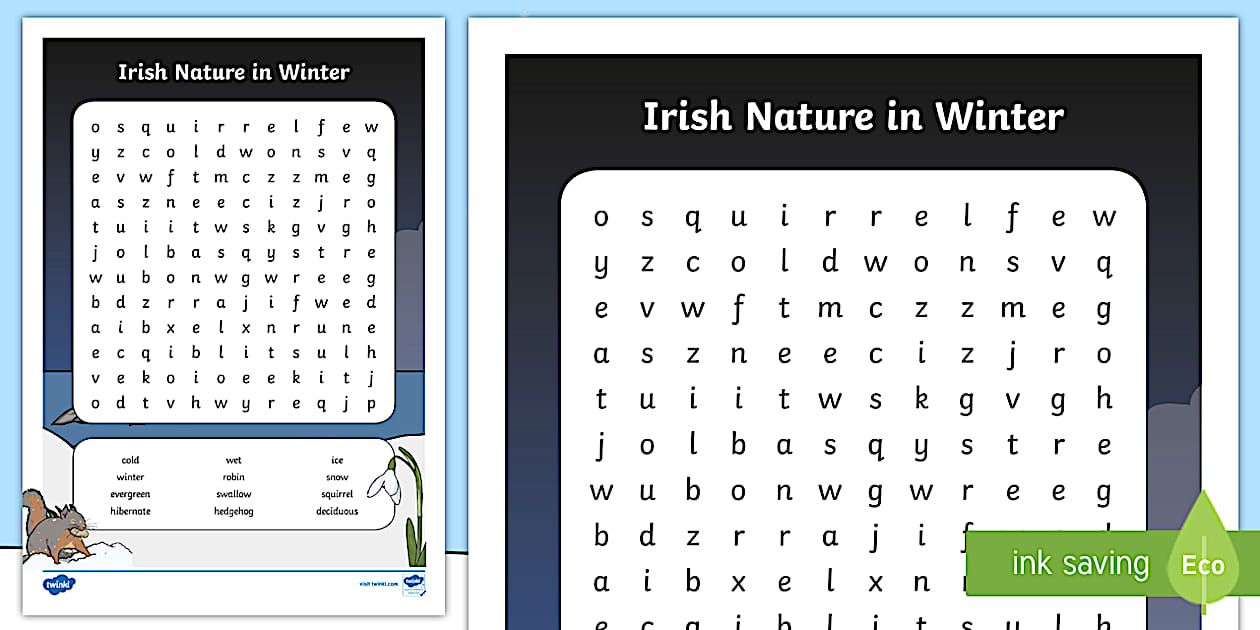 ROI Irish Nature in Winter Word Search (teacher made)