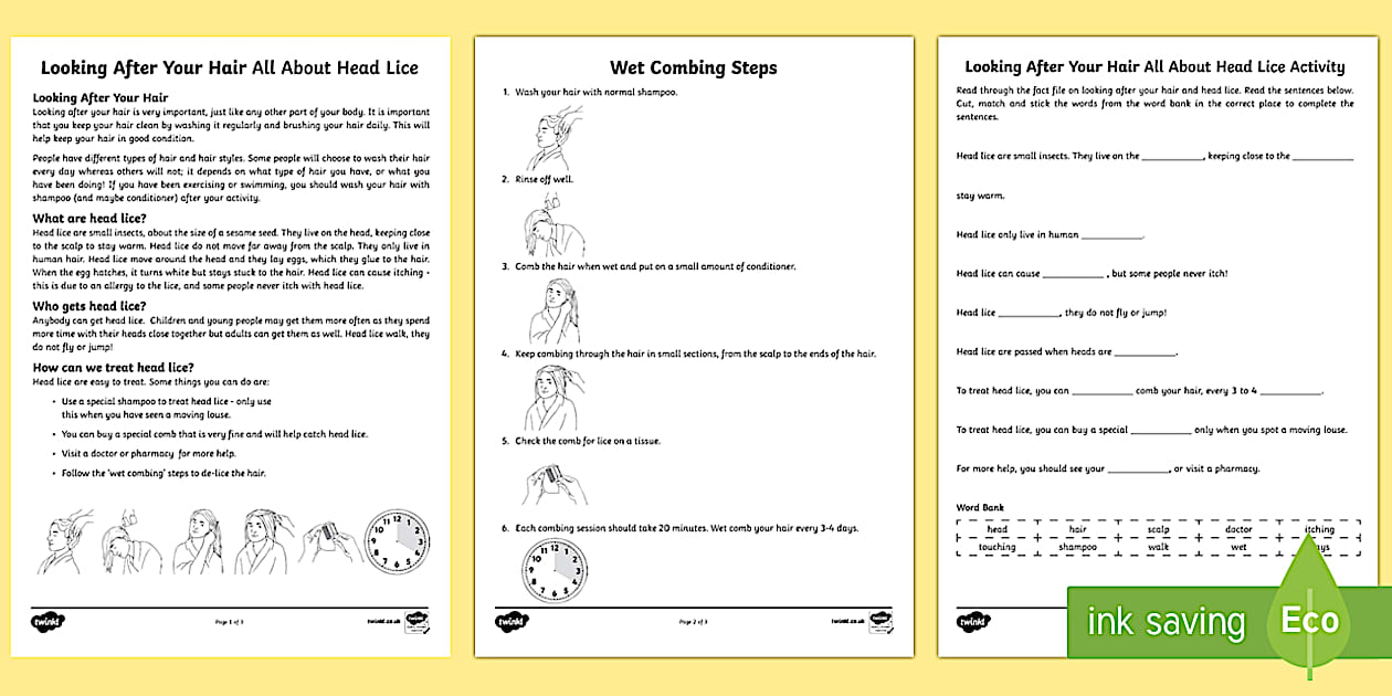 Looking After Your Hair All About Head lice Fact File and Worksheet