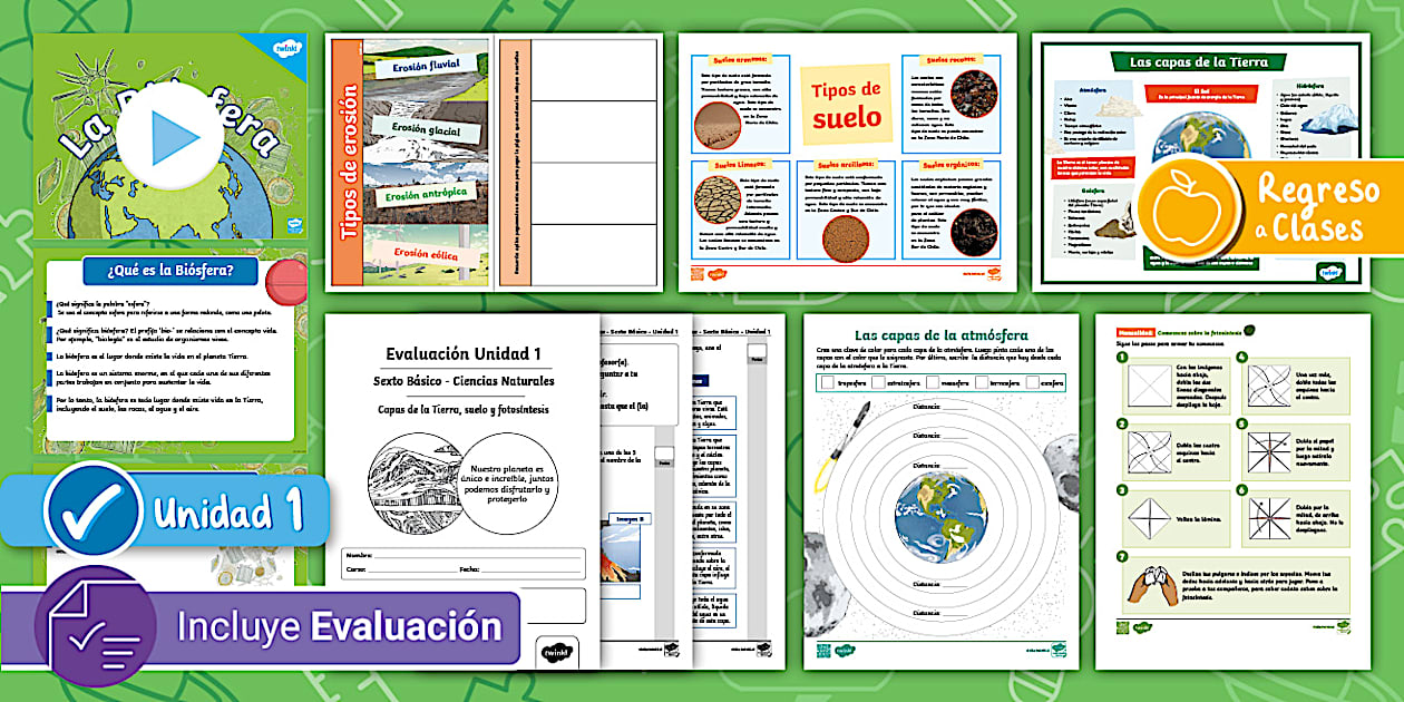 Pack Ciencias Naturales - Unidad 1 - 6° básico - Twinkl