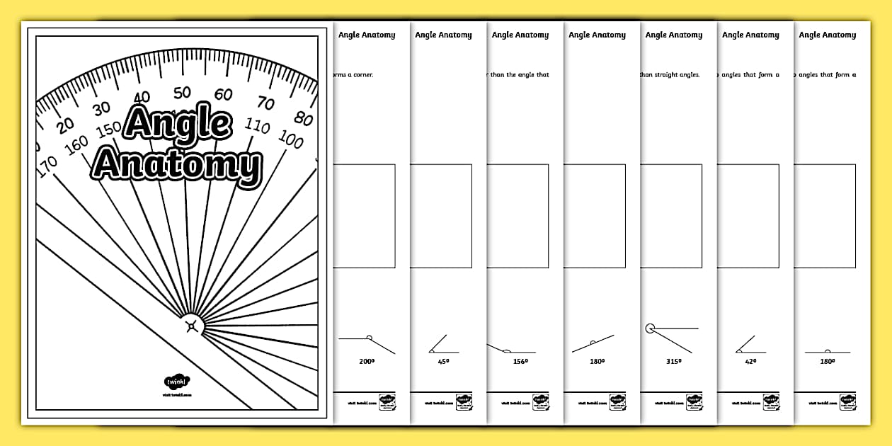 Fourth Grade Angle Anatomy Activity Booklet | Twinkl USA