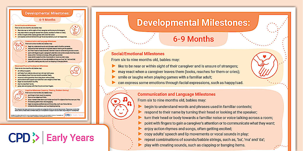 Developmental Milestones Poster 6-9 months (teacher made)