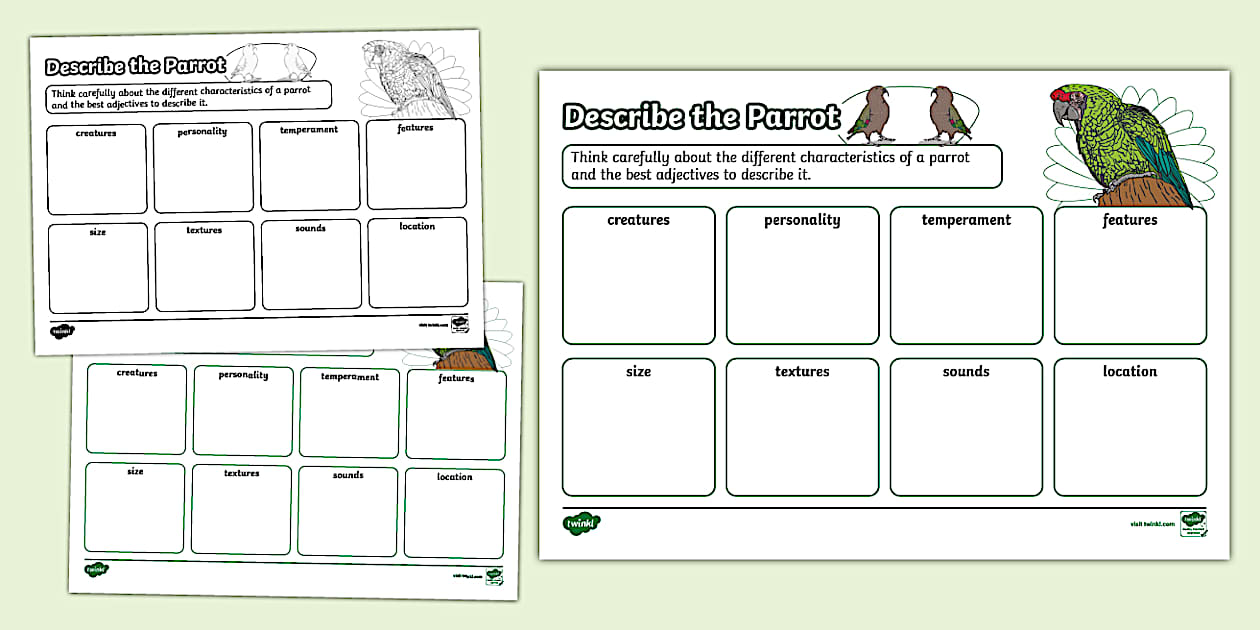 Parrot Adjectives Worksheet (teacher made) - Twinkl