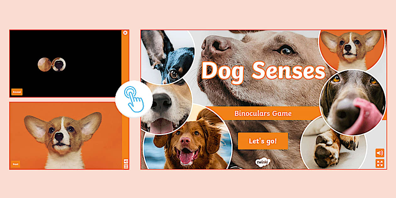Dog Senses Interactive Binoculars Game (teacher made)