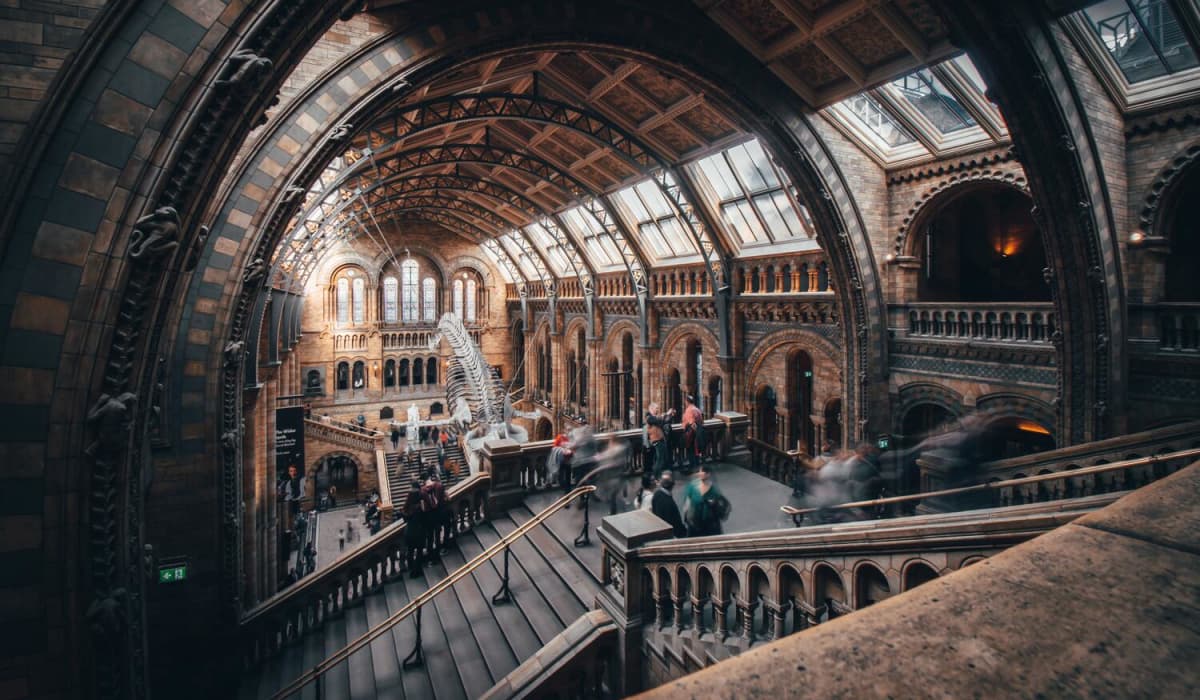 Natural History Museum Identifies 552 New Species in 2021 - Twinkl NewsRoom