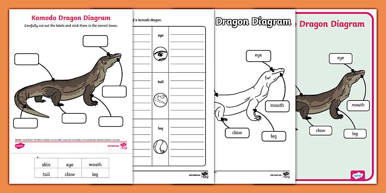 Komodo Dragon Diagram Activity Pack (teacher made) - Twinkl