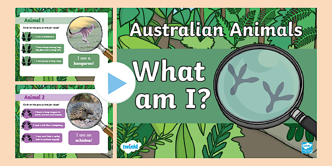 Australian Animals What Am I? Interactive PowerPoint Game
