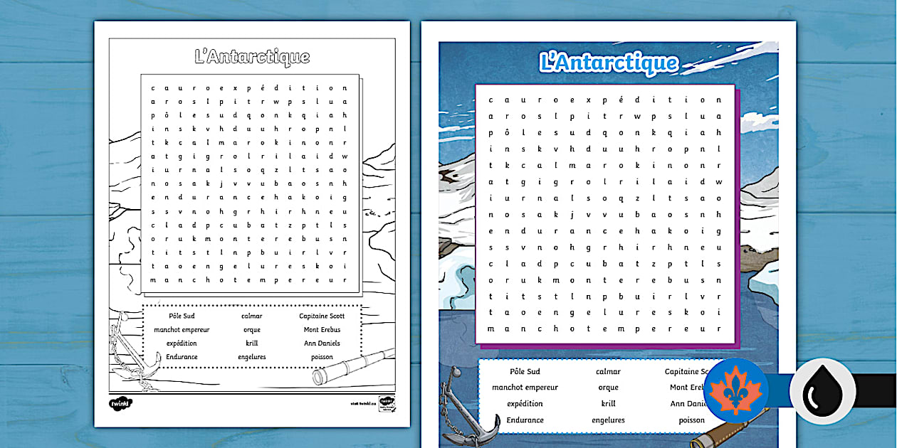 Antarctica Word Search French (teacher made) - Twinkl