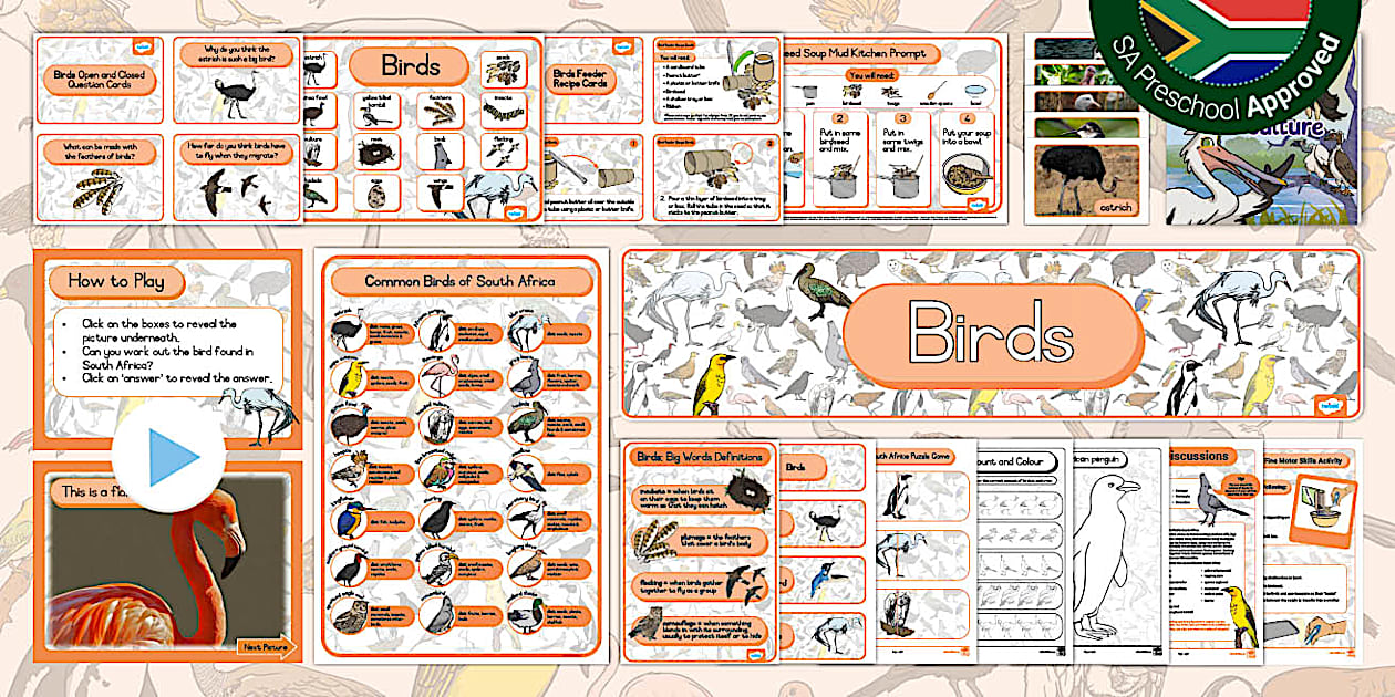 Preschool: Birds - Resource Pack