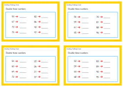 Doubling Challenge Cards (teacher made)