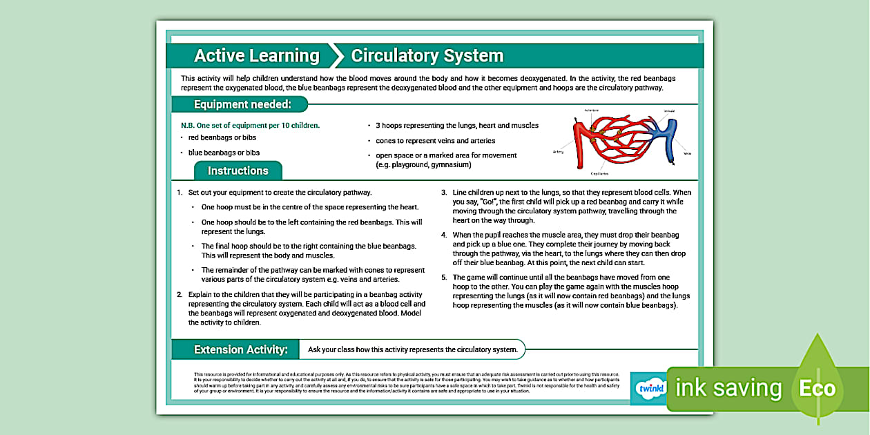 Circulatory System KS2 Active Learning Lesson Activity