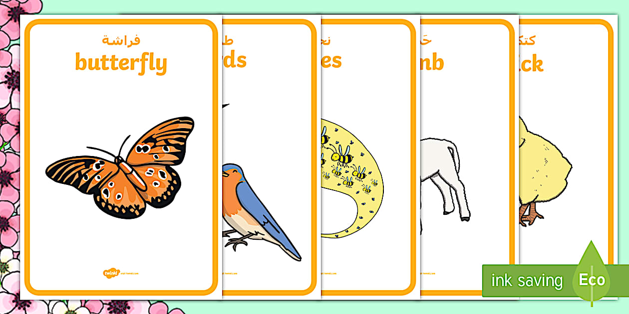 Springtime Animals Posters Arabic/English - Spring Animals Posters