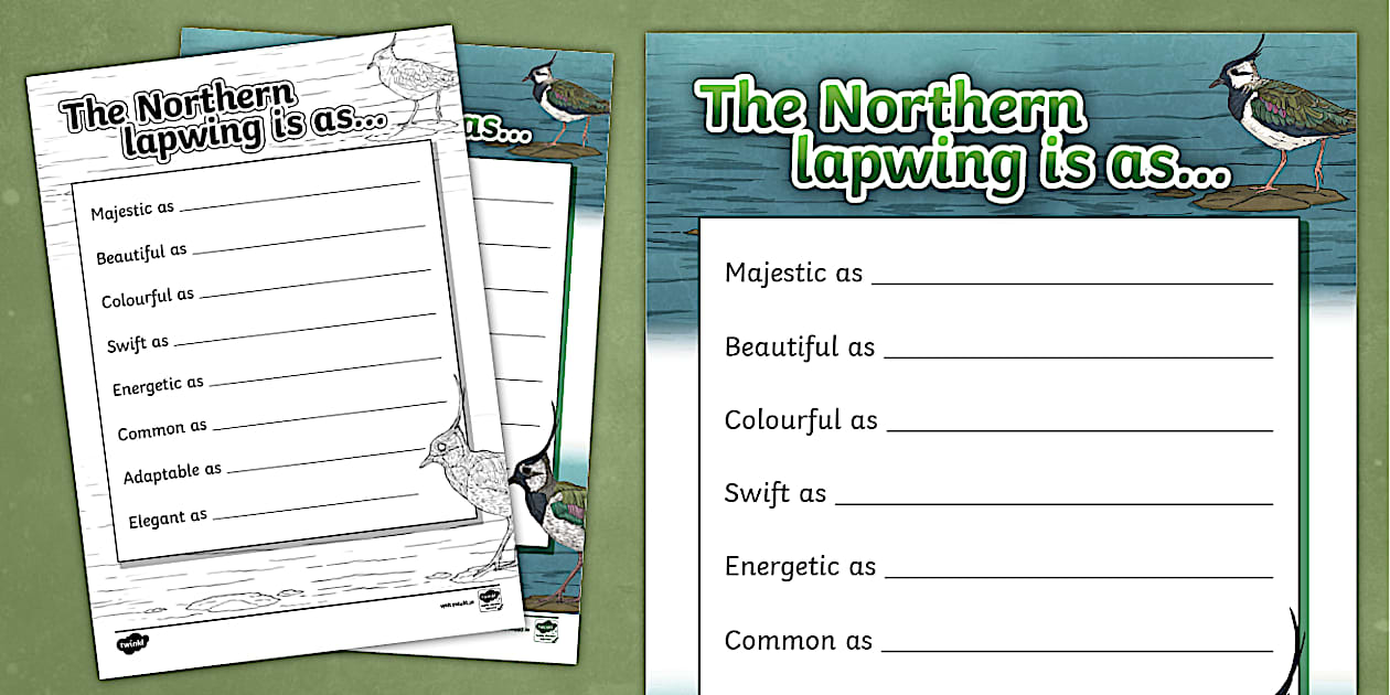 Northern Lapwing Simile Poem Template - Twinkl