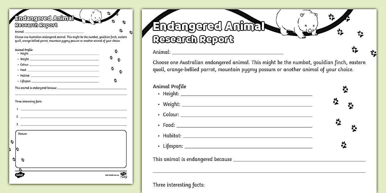 Australian Endangered Animal Research Report (teacher made)