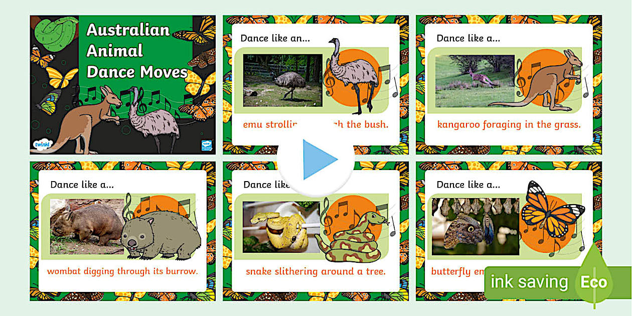 Australian Animal Dance Moves PowerPoint (teacher made)