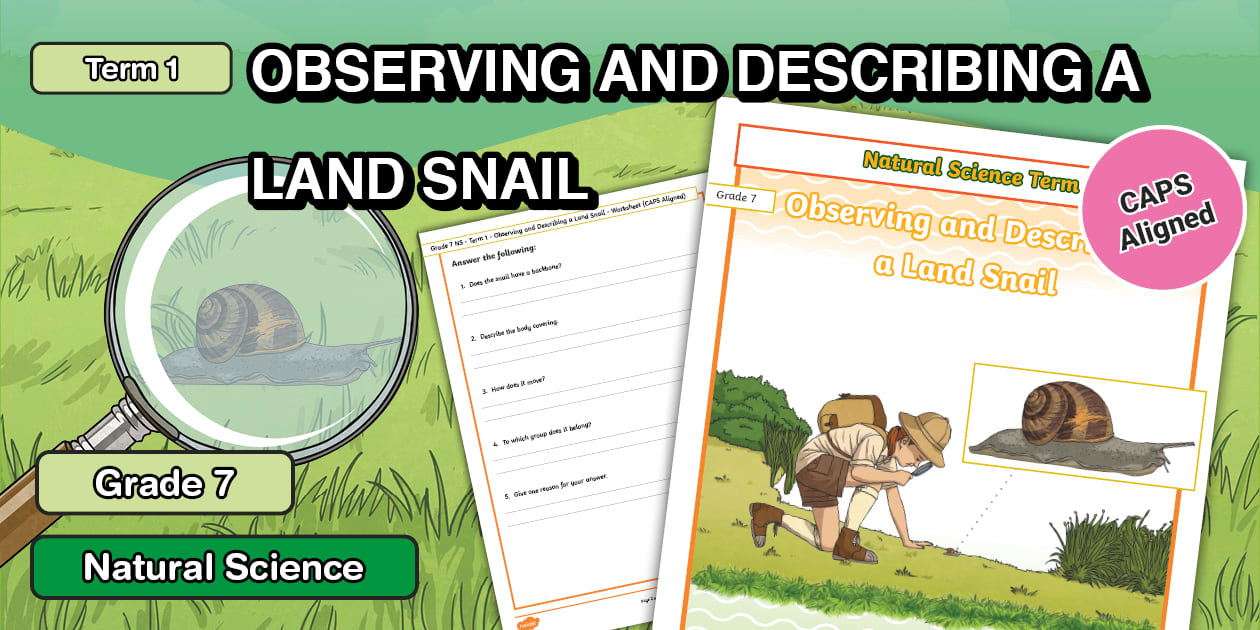 Grade 7 NS - Term 1 - Observing and Describing a Land Snail