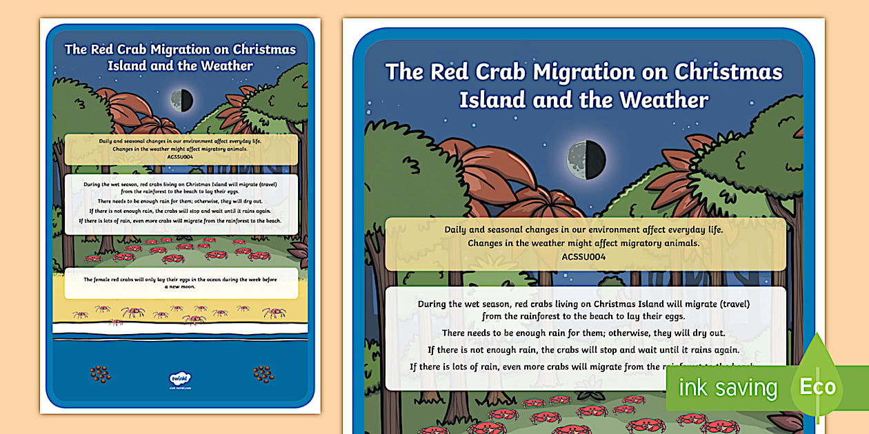 NSW Red Crab Migration and Weather Large Information Poster