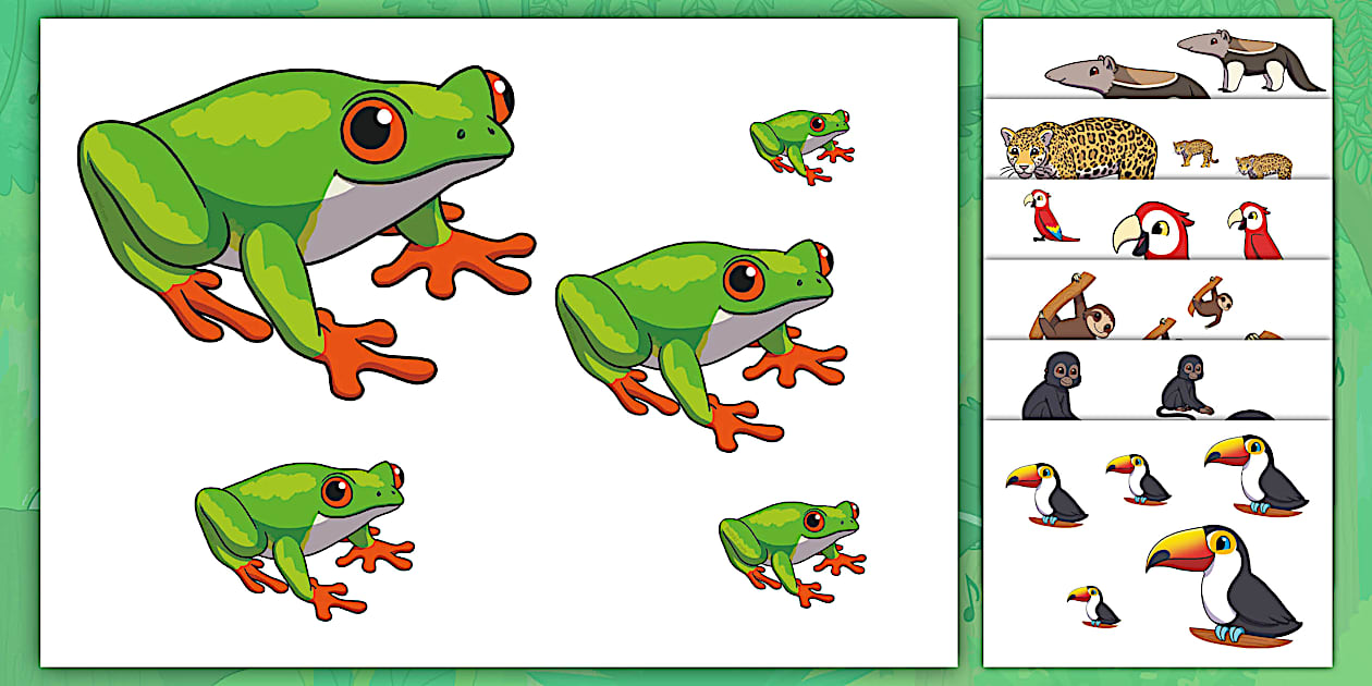 Jungle Animals Size Ordering Cut-Outs - Twinkl