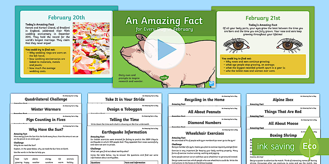 February Amazing Fact a Day Activity Pack (teacher made)