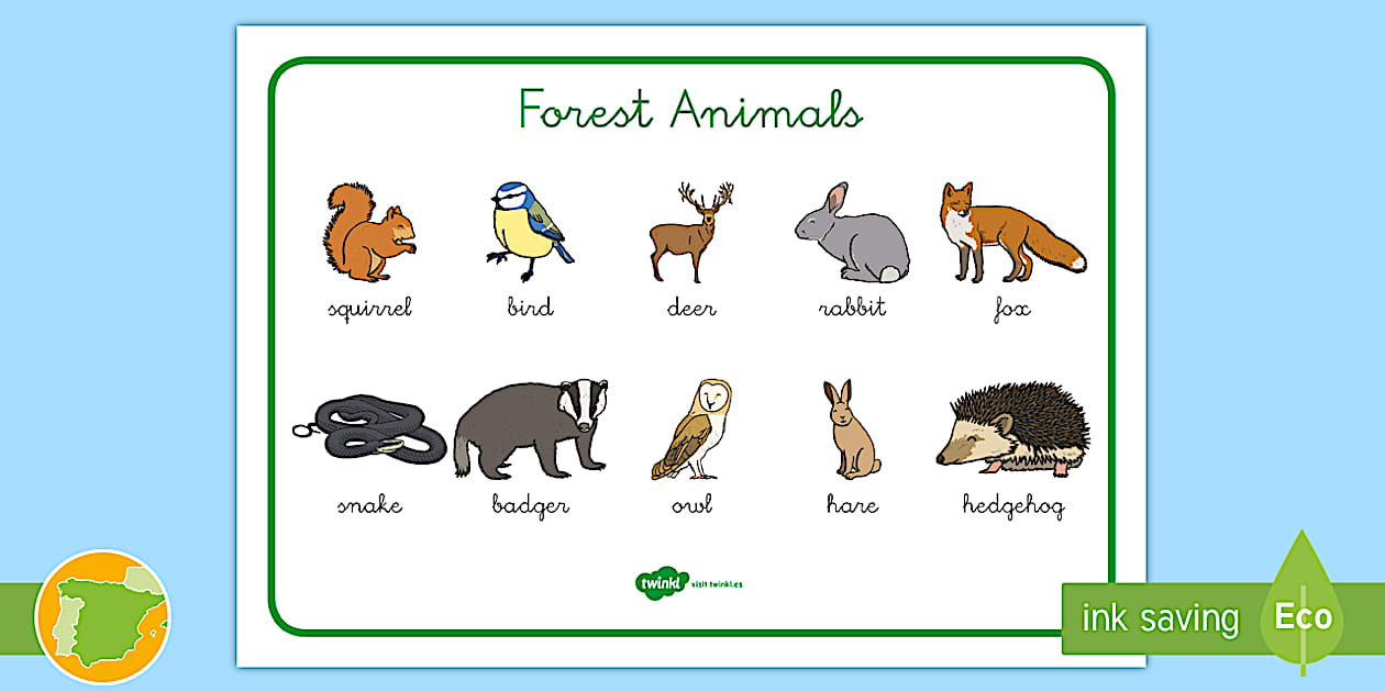 A1 Diccionario de imágenes: Animales del bosque en inglés