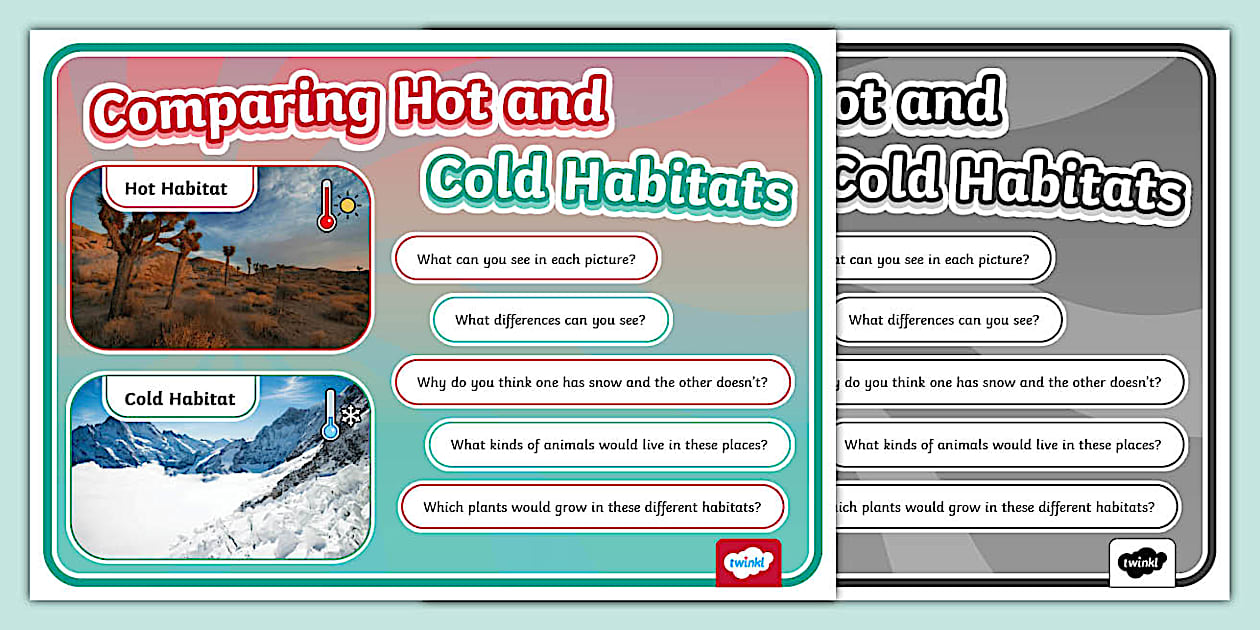 Comparing Hot and Cold Habitats Discussion Prompt - Twinkl