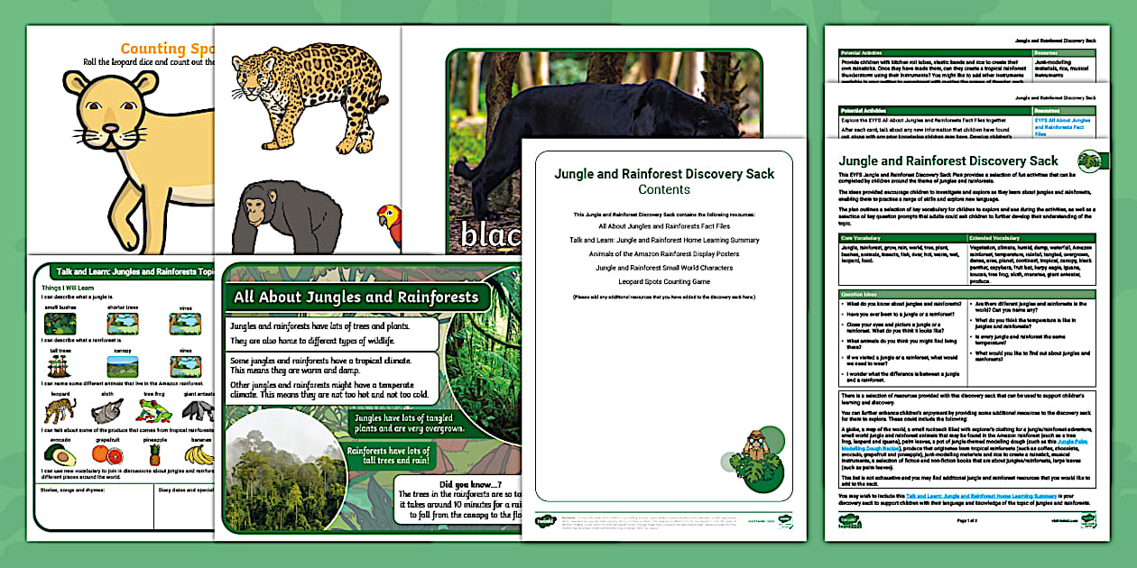 EYFS Jungle & Rainforest Discovery Sack Plan & Resource Pack