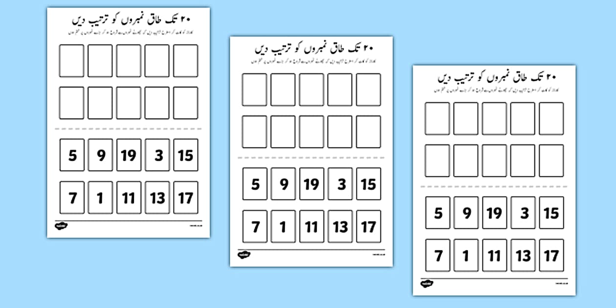 Number Ordering Odd Numbers to 20 Activity Urdu - Twinkl