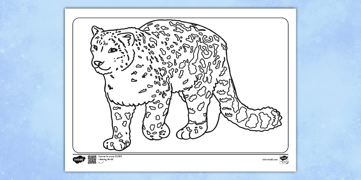 Snow Leopard Colouring Sheet | Colouring Sheets - Twinkl