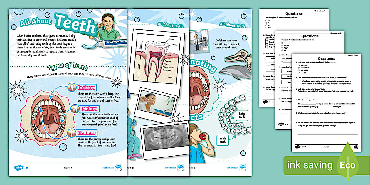 LKS2 All About Teeth Differentiated Reading Comprehension