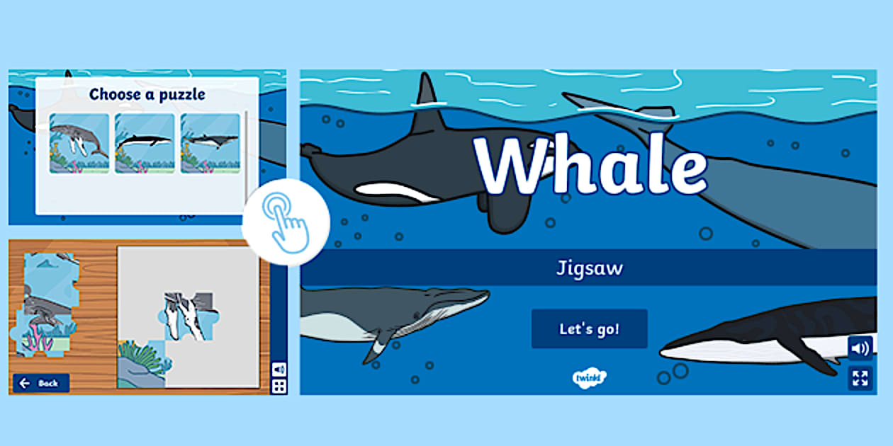 Whale Interactive Jigsaw (Teacher-Made) - Twinkl