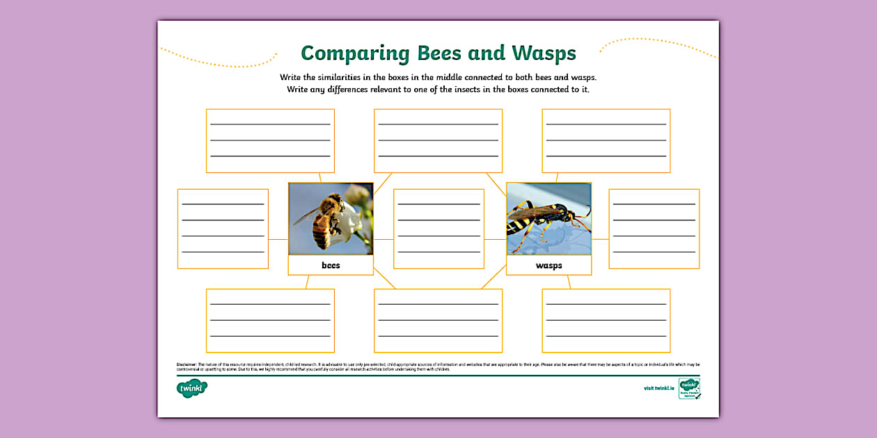 Bees and Wasps Comparison Mind Map (teacher made) - Twinkl