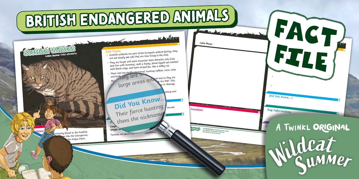 British Endangered Animals KS2 Fact File Activity