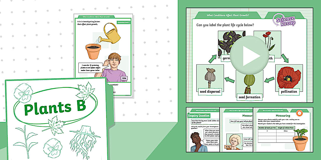 Step into Science: Year 3: Summer: Block 4: Plants B: Step 1