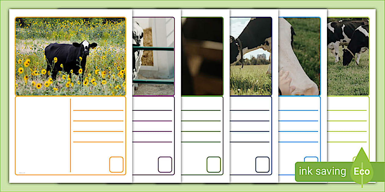Cow Postcards | Twinkl | Stationery | Postcards | KS1
