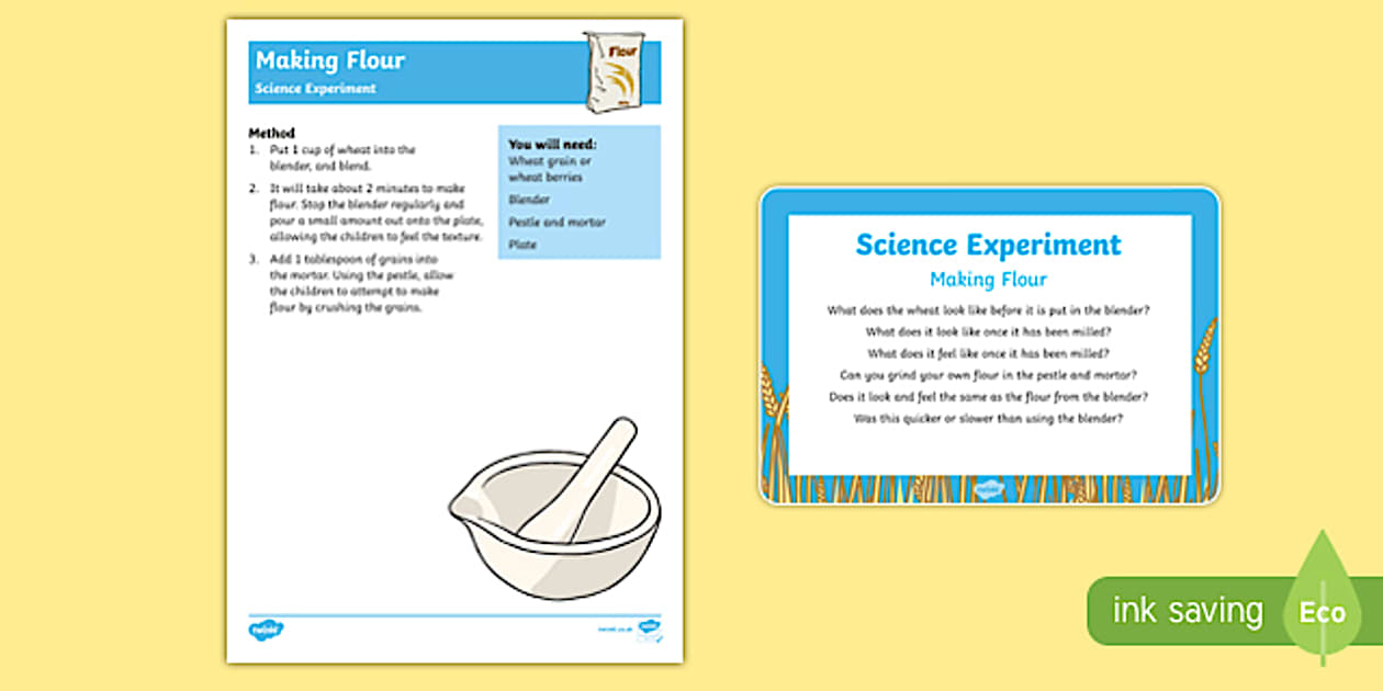 Kindergarten Making Flour Science Experiment and Prompt Card Pack