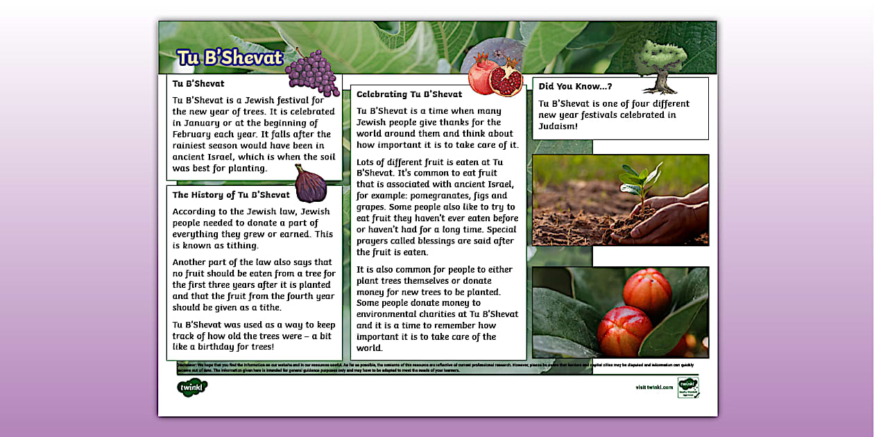 Tu B'Shevat Fact File (creat de profesori) - Twinkl
