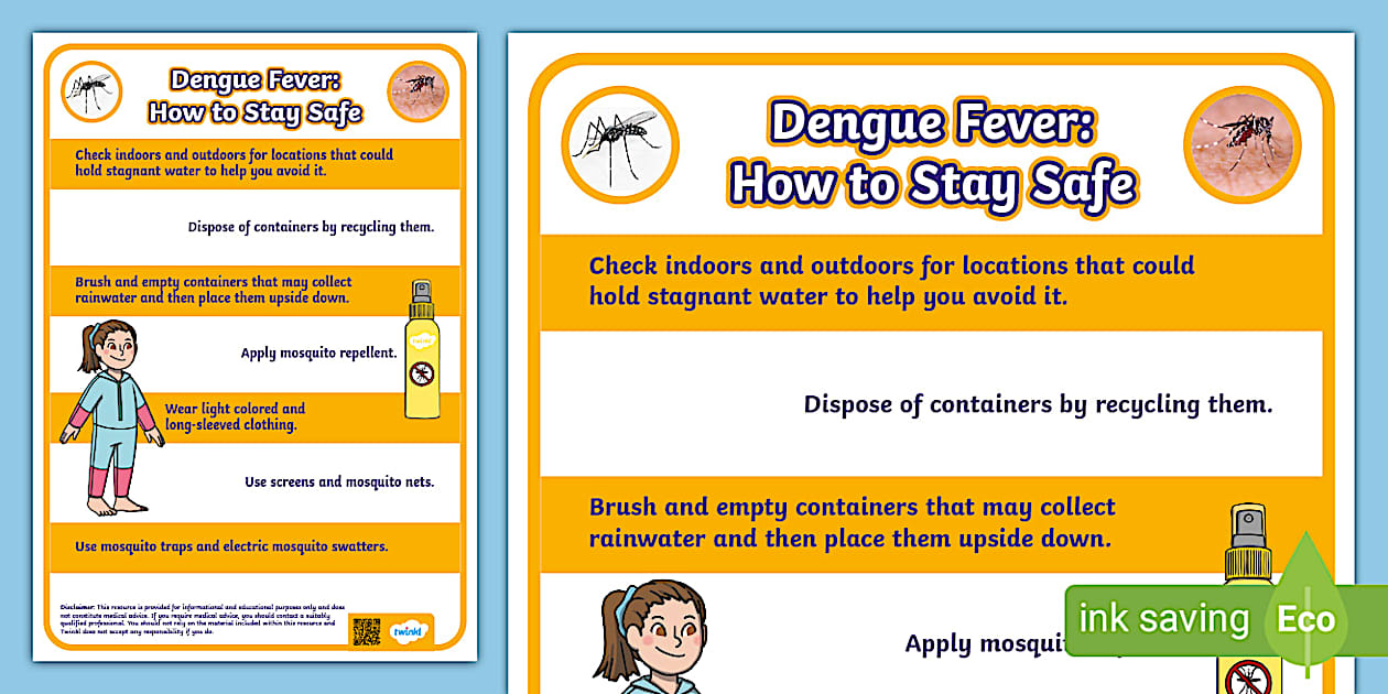 Dengue Fever Display Poster (teacher made) - Twinkl