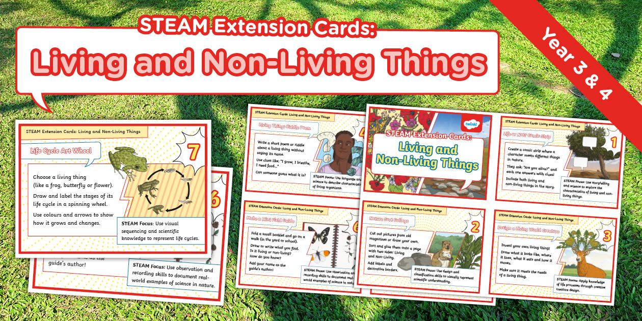 STEAM Extension Cards: Living and Non-Living Things - Twinkl