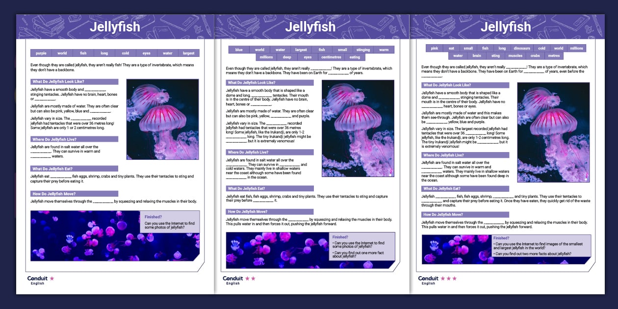 Reinforcing Reading: Jellyfish Differentiated Cloze Passages