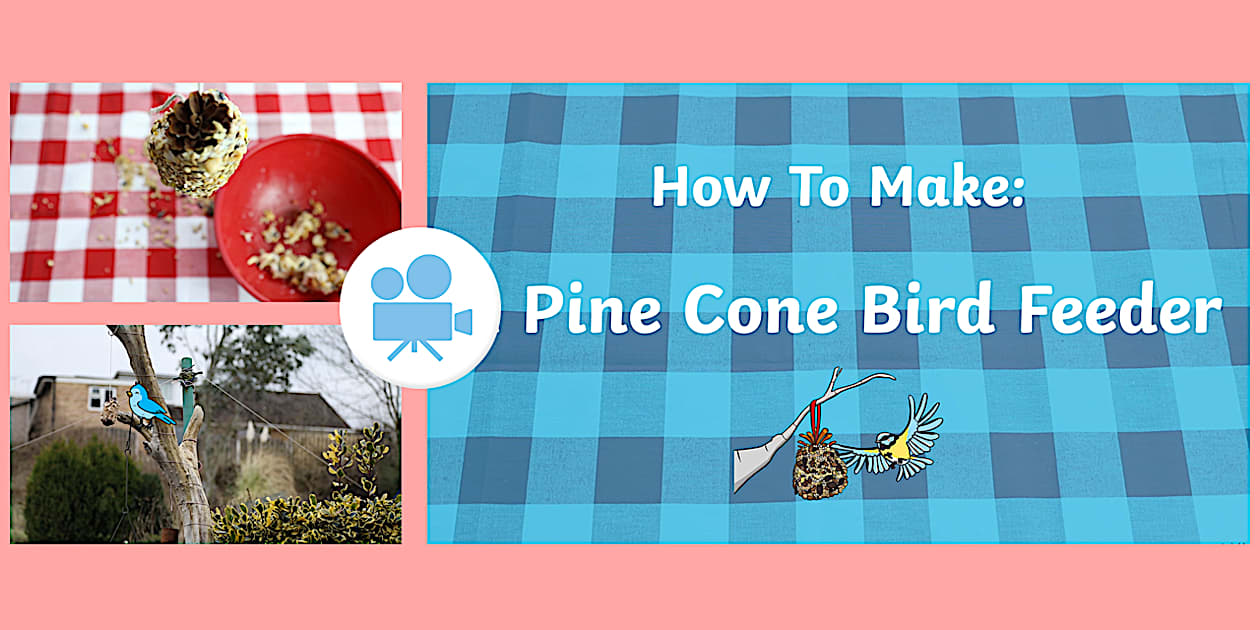 How to Make a Pine Cone Bird Feeder Video (teacher made)