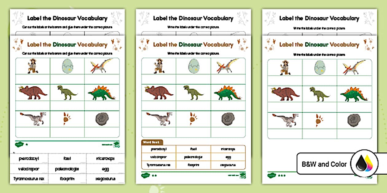 Label the Dinosaur | Kindergarten Resource | Twinkl USA