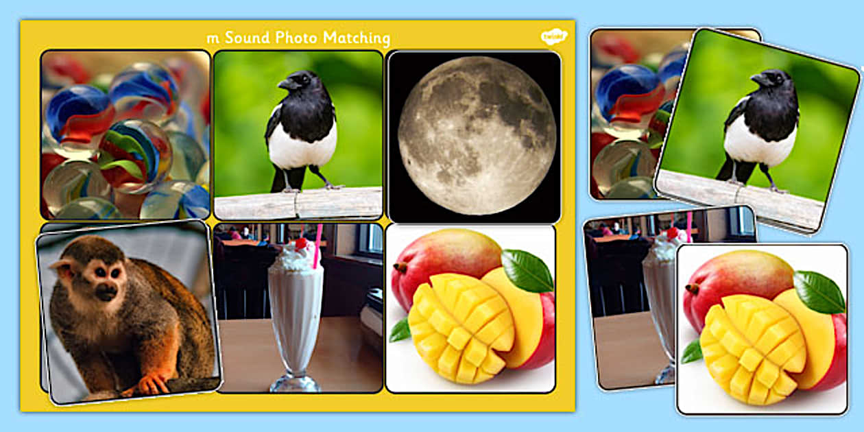 Phonics m Sound - Primary Resources (teacher made) - Twinkl