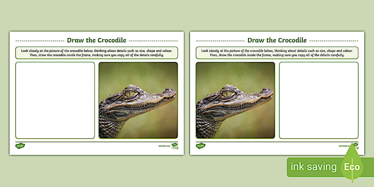 Draw the Crocodile Art Activity, How to draw a crocodile