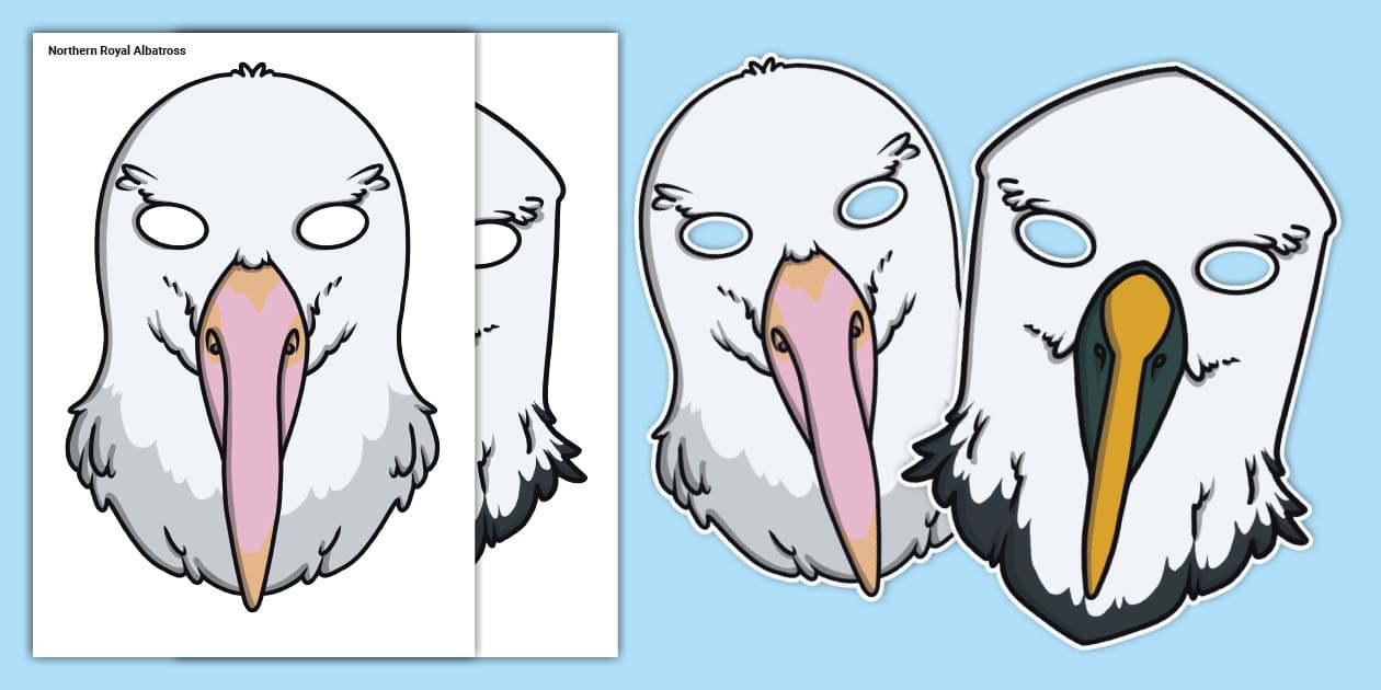 Albatross and Mollymawk Role Play Masks (teacher made)