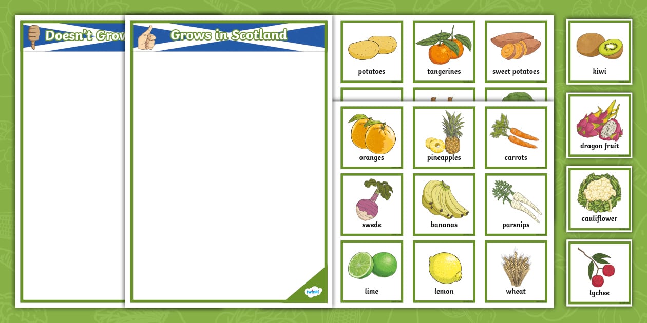 Does My Food Grow in Scotland? Sorting Cards (teacher made)