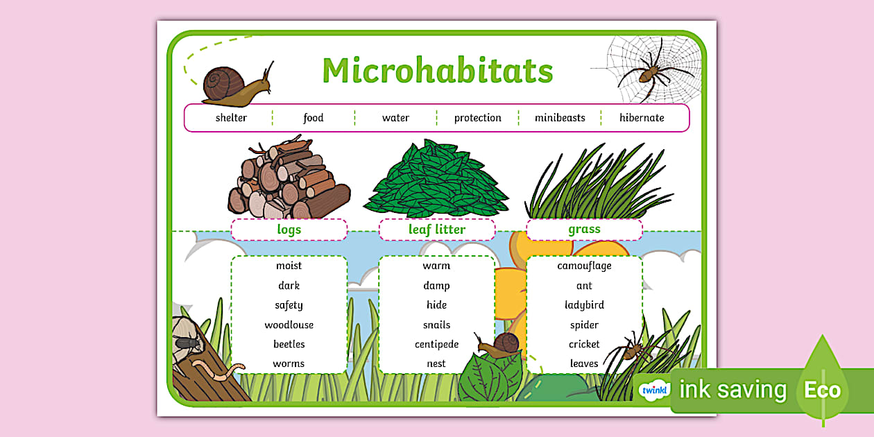 Microhabitats Word Mat - Twinkl - KS1 - Science - Twinkl