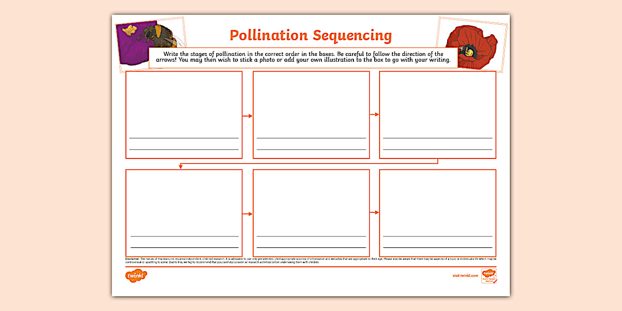 Pollination Sequencing Mind Map (teacher made) - Twinkl