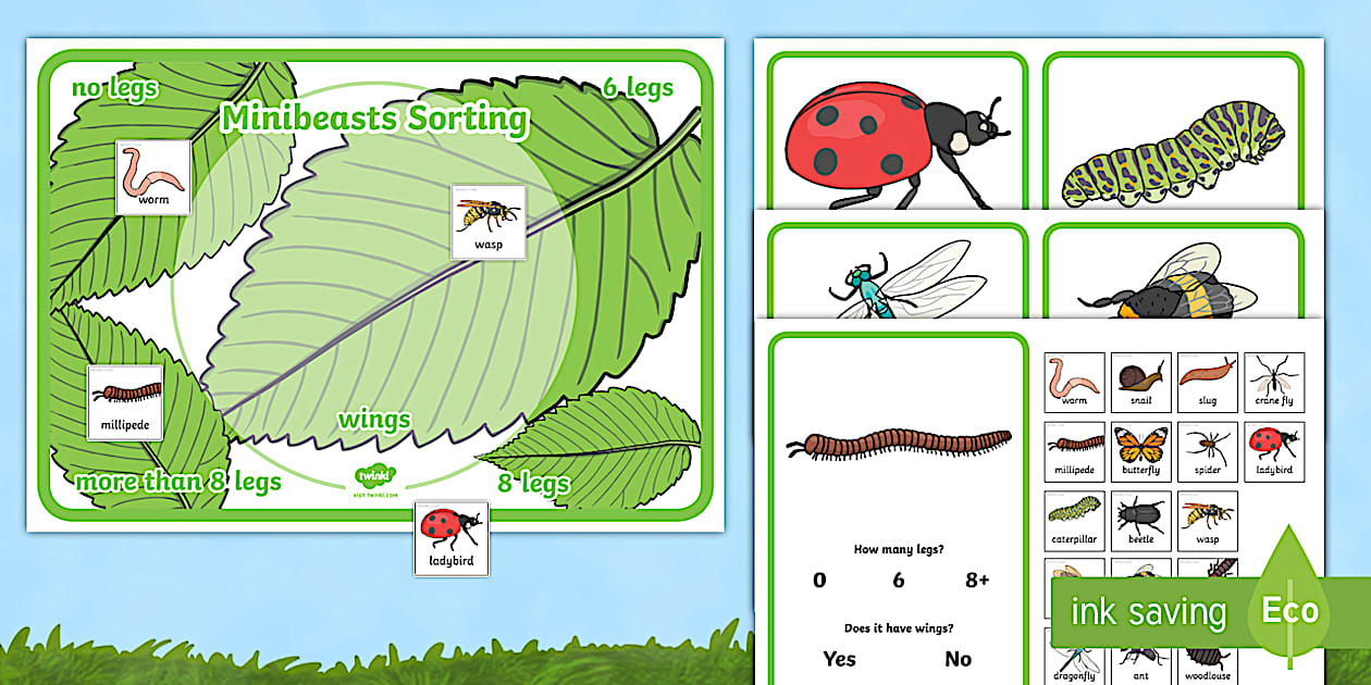Fun Minibeasts Sorting Activity | Twinkl Teach - Twinkl