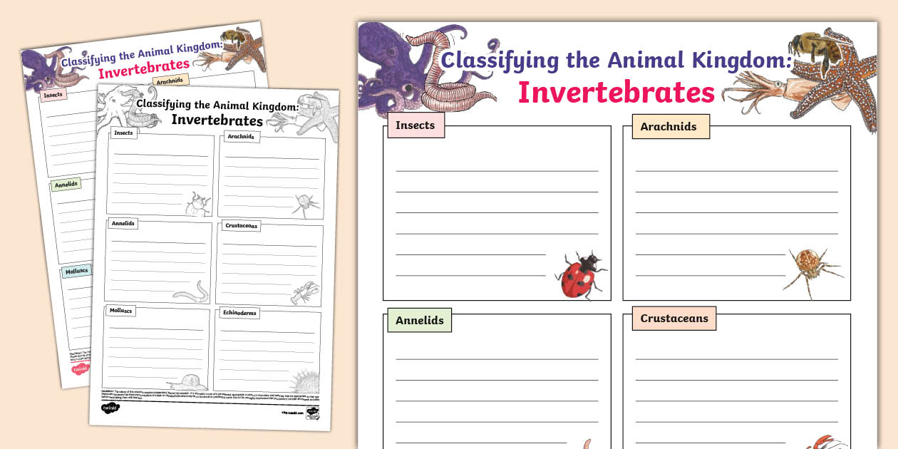 Classify the Animal Kingdom Invertebrates Fact File Template